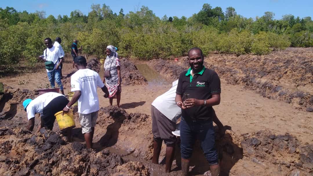 International Day for the Conservation of the Mangrove Ecosystem 2023 ...